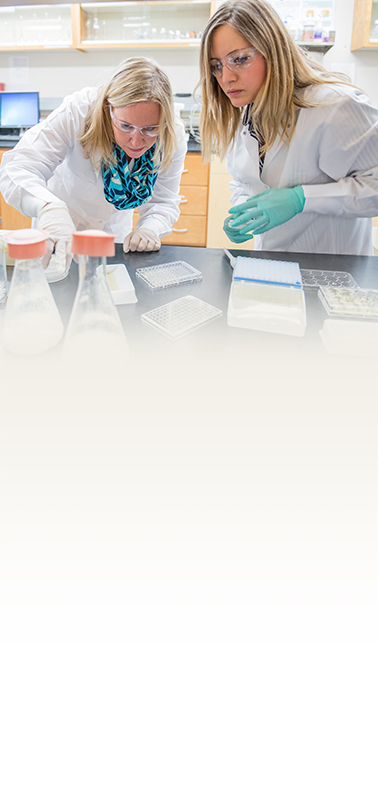 Center for Biofilm Engineering - Center for Biofilm Engineering ... Center for Biofilm Engineering - Center for Biofilm Engineering ...